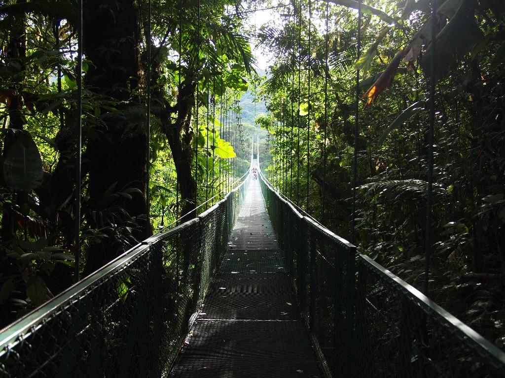 Nonstop Flights: Dallas to Costa Rica (LIR) $410 r/t [May-July ...