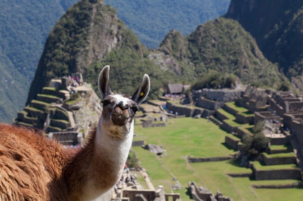 Cheap Flights: Dallas to/from Lima, Peru $498 r/t [May-October ...